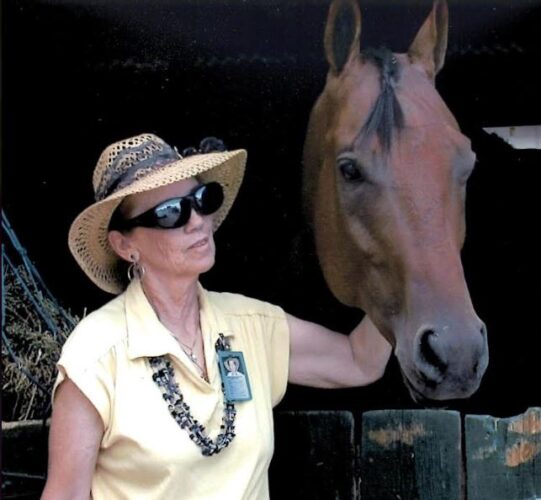 Obituaries | News, Sports, Jobs - Standard-Examiner